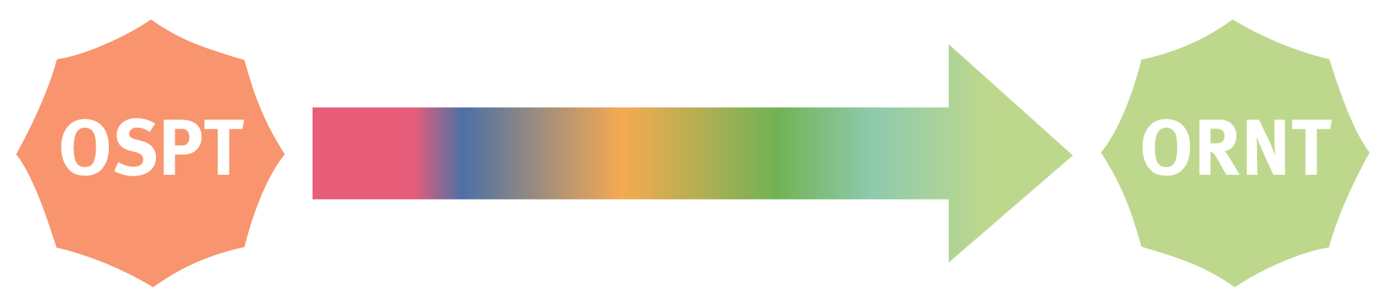 OSPT – Baumann Skin Types